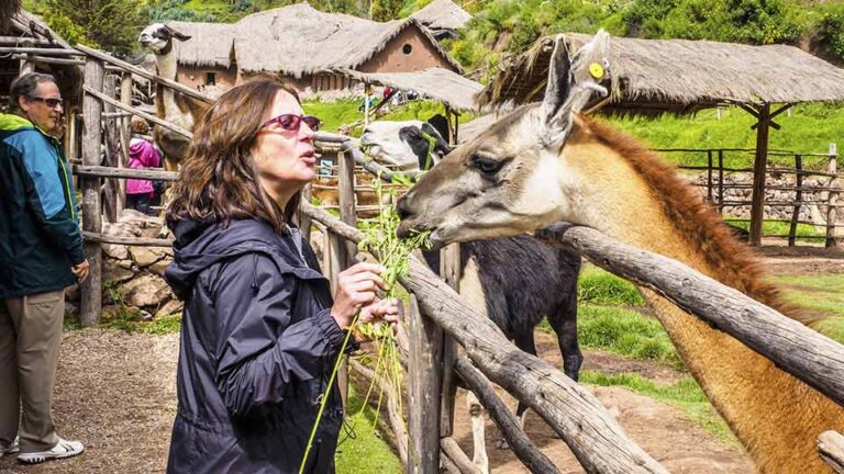 Awanacancha Textile Center | Blog Cusco Peru Travel