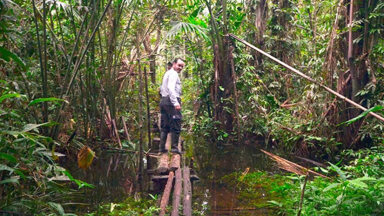 Ecotourism in the Peruvian Amazon | Blog Cusco Peru Travel